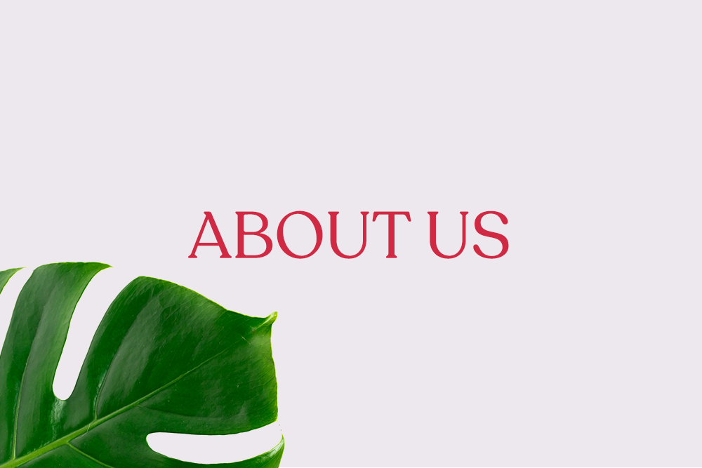 About us | Raw African's Beauty Hub - Get the Raw Experience!